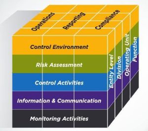 What Are the Fundamentals of COSO Framework? (A Guide!)